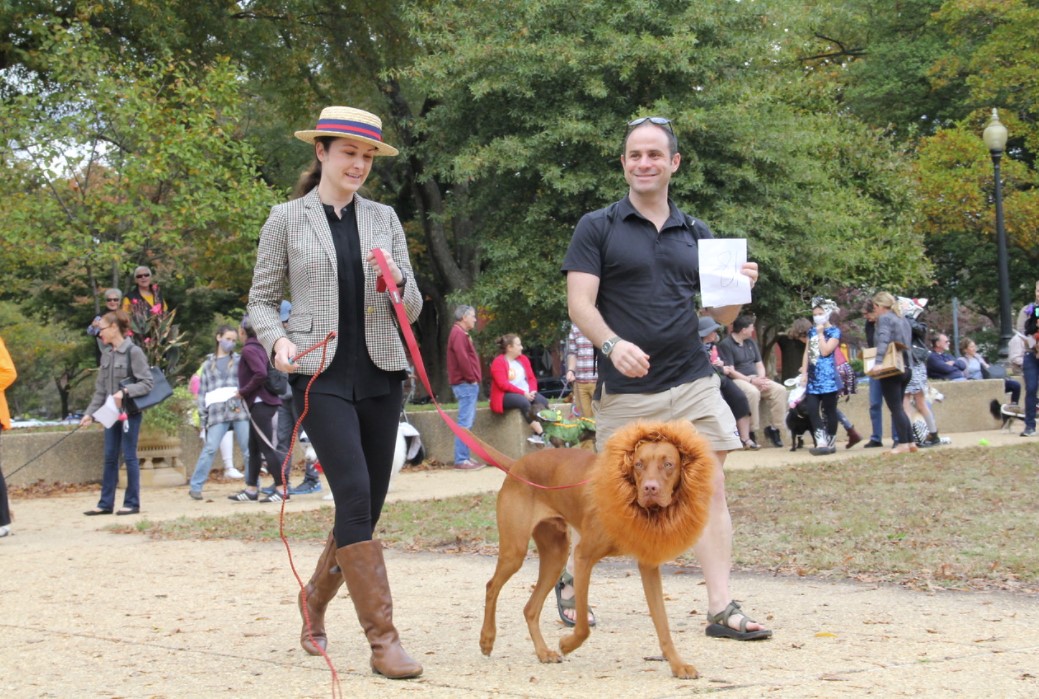 Howl’O’Ween Canine Costume Contest – Photo Essay | CAPITOL HILL CORNER