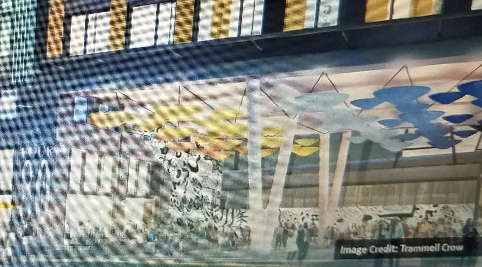 The Week Ahead… ANC Highlights & Some Photos from the Past Week ...