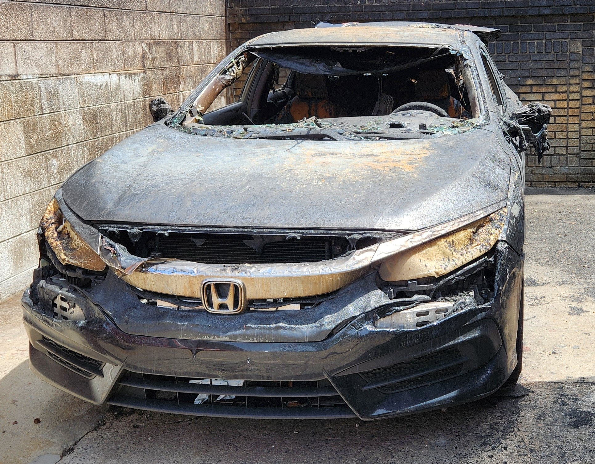 The Week Ahead…& Some Photos from the Past Week | CAPITOL HILL CORNER