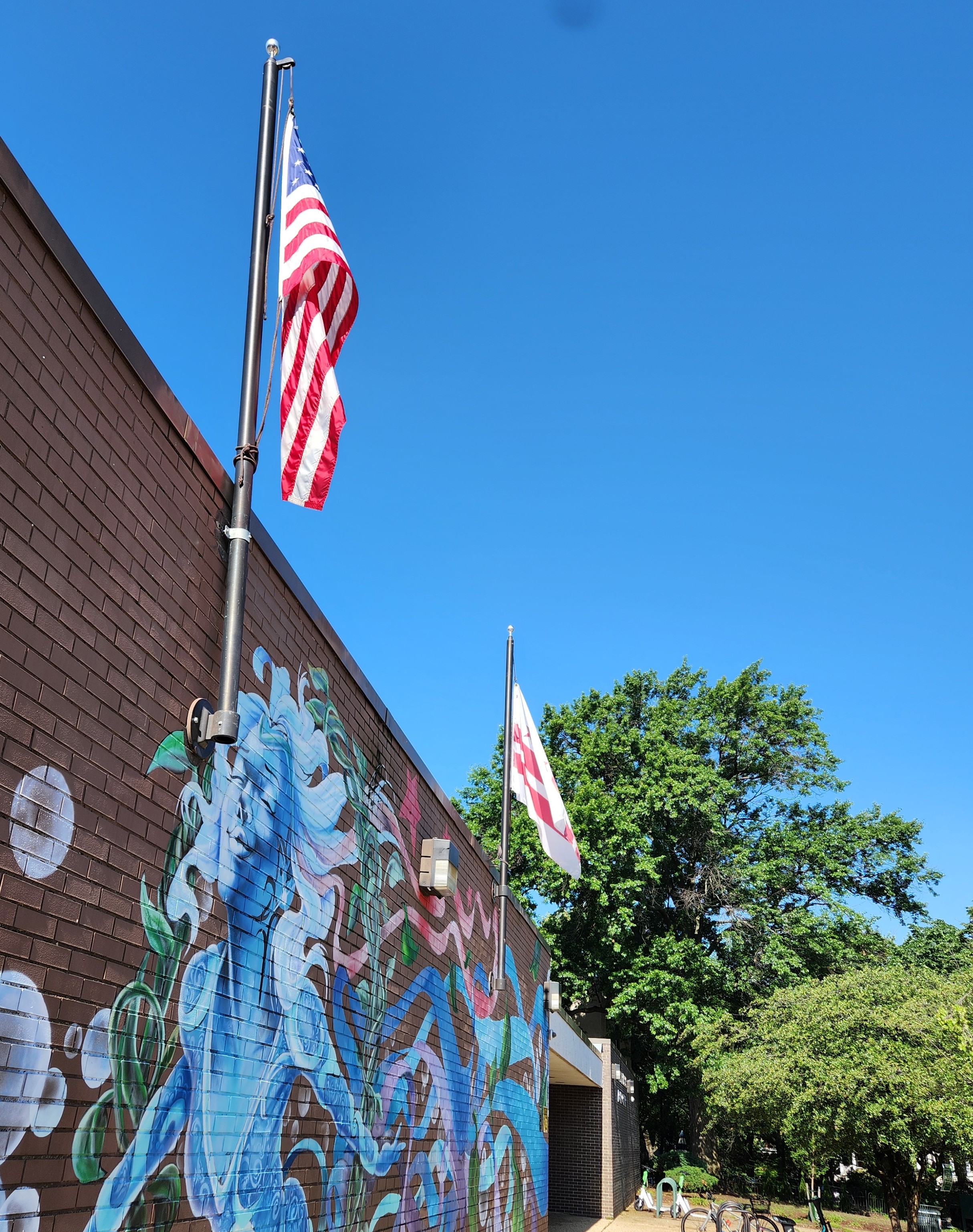 The Week Ahead…& Some Photos from Last Week | CAPITOL HILL CORNER